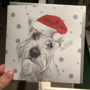 Pointer Brothers German Shorthaired / Wirehaired / English Pointer ...