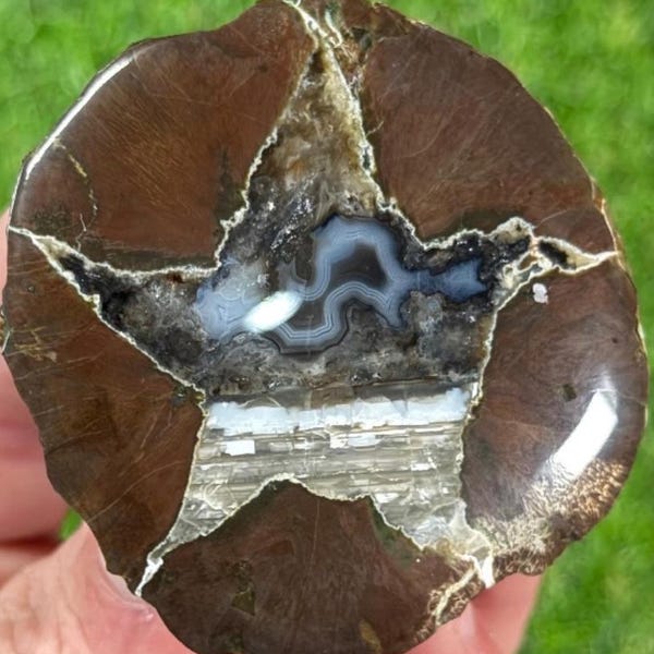 I LICK ROCKS Sticker Funny Rock Stickers Agate Dad - Etsy