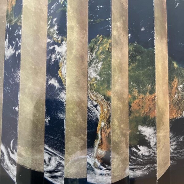 Oak Tree Kinetic Photograph, Agamograph: Winter and Spring in 8" X 10 ...