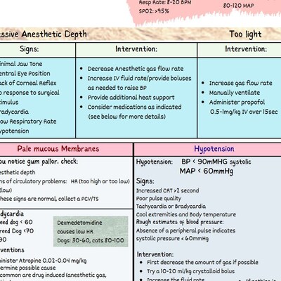 Decoding Lab Works Vet Good Notes Planner Notes Template Study Planner ...