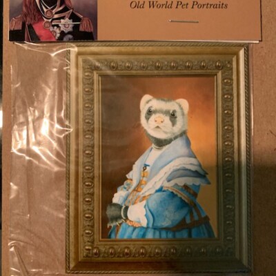 Ferret, Ferret Magnet, Refrigerator Magnet, Magnet, Ferret Clothes ...