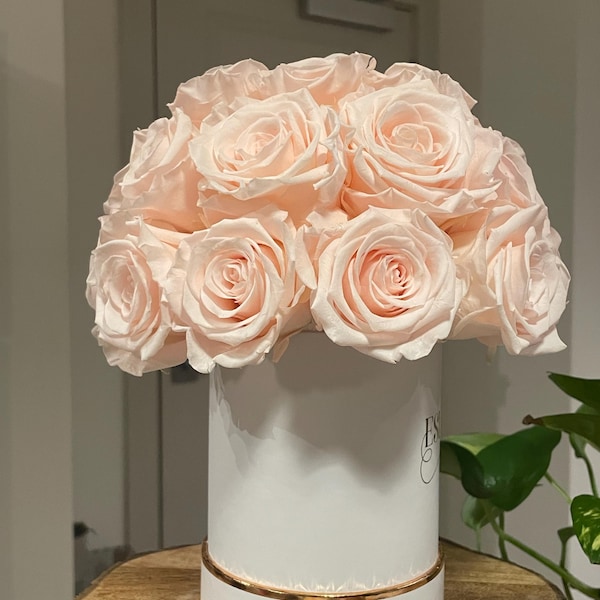 Pack of 16 Long-stem White Preserved Roses | Mother's Day Gift ...