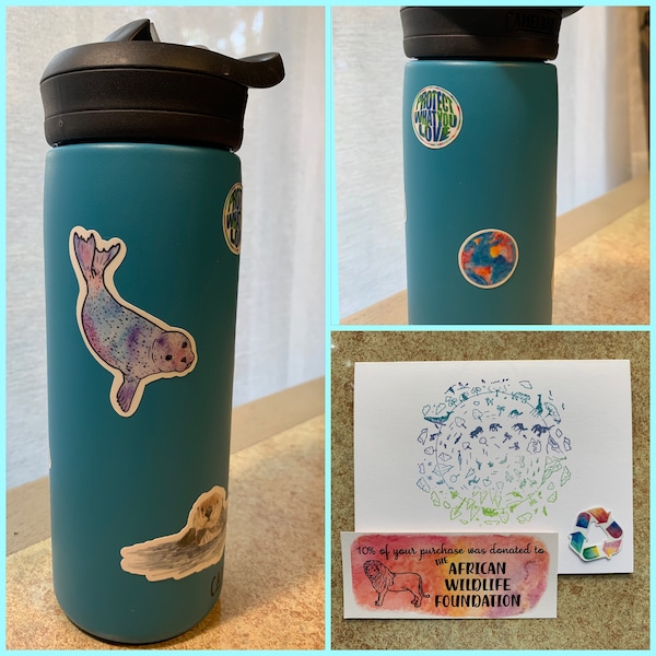 Rainbow Harbor Seal Sticker, Harbor Seal Sticker, Rainbow Harbor Seal ...