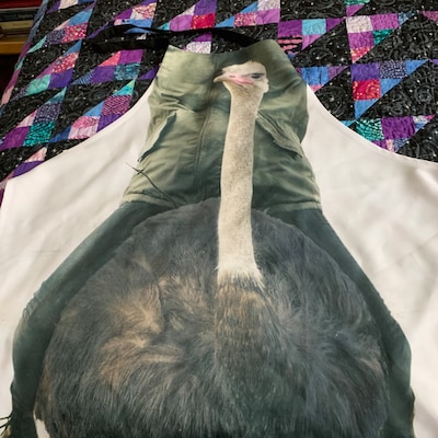 Funny Baking Apron Ostrich Novelty Cooking Chef Gift for Men - Etsy