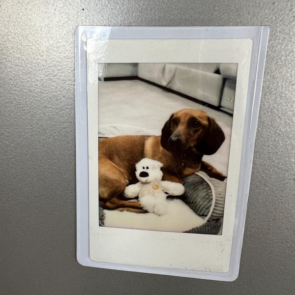 Coloured Instax Mini Frames | One Frame = 3 Instax Prints | Multiple ...