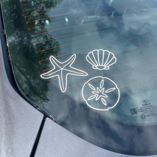 Seashell Cluster Vinyl Decal | Seashells Car Window Decal - Etsy