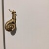 Snails Brass Knobs and Pulls/drawer Knobs/custom Engraved Cabinet Pulls/wardrobe Pulls/offices ...