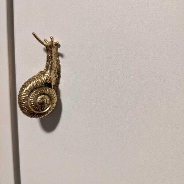 Snails Brass Knobs and Pulls/drawer Knobs/custom Engraved Cabinet Pulls/wardrobe Pulls/offices ...