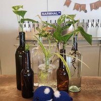 Netball, Netball Sign, Netball Fan, Netball Gift, Netball Player, Old ...