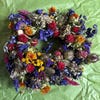 Biodegradable Wreath, Many Styles Available in 4 Sizes - Etsy