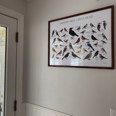 Ducks of North America Field Guide Art Print / Water Birds Poster ...