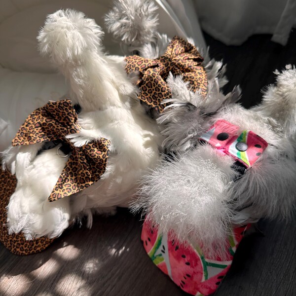 Leashes for Chicken / Duck Diapers - Etsy