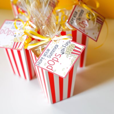 Nurses Week Appreciation Gift Tag, Thank You for All You Do, School ...