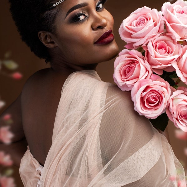 12 PNG Silhouette Overlay Snoot Effect Overlay Shadow Maternity Frame ...