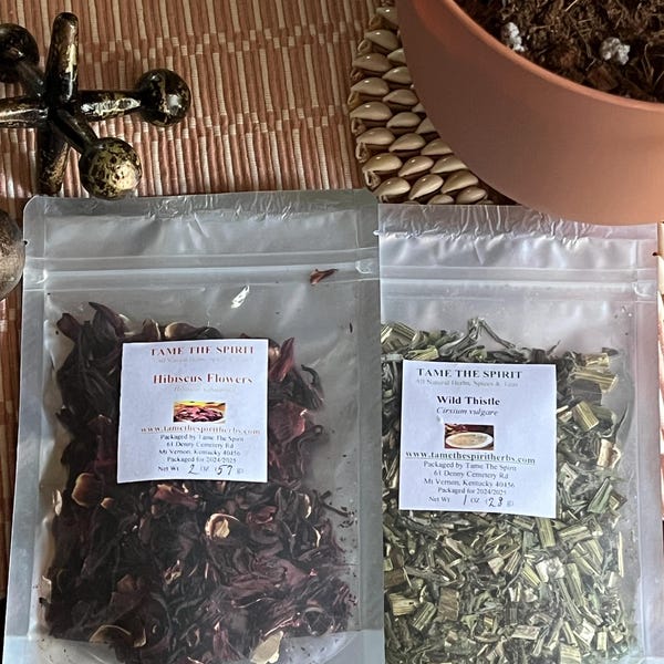 Osha Root Wild Harvested Fresh Organic Herbs - Etsy