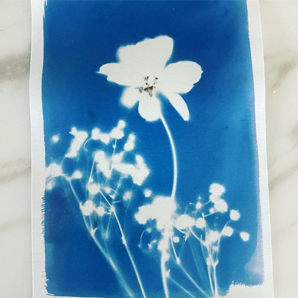 Cyanotype Kit: Easy to Use Sun Printing Kit by Daisy Bow Craft - Etsy