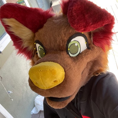 Laser Cut Acrylic Fursuit Eyes Kit Comes With Oval Pupil - Etsy