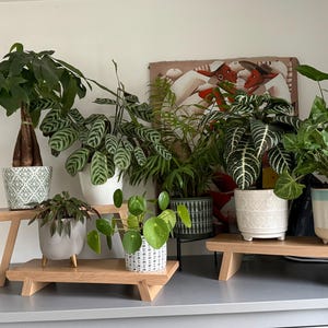 Idealoakstore - Etsy