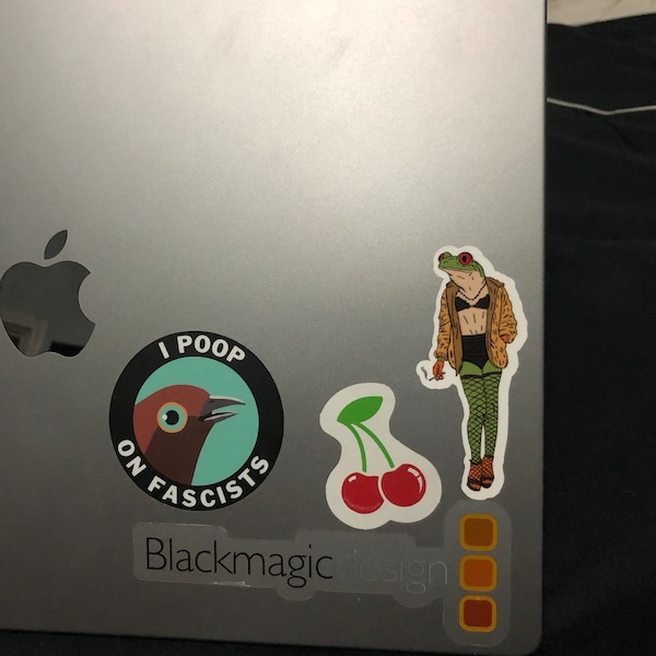 Raccoon Rampage Sticker | Raccoon Stickers | Funny Sticker | Water ...