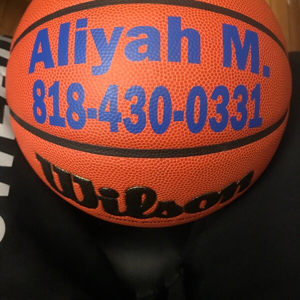 Customized Personalized Wilson Evolution Basketball Indoor Size 29.5 ...