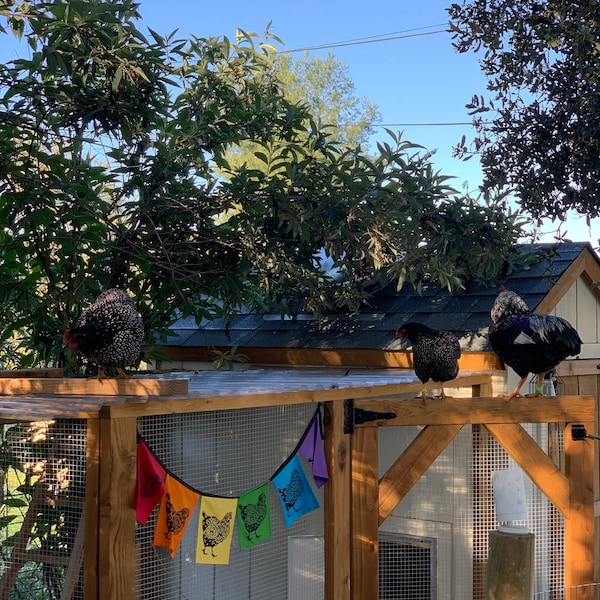 Hand Printed Rainbow Chicken Flags - Chicken Banner - Chicken Coop ...