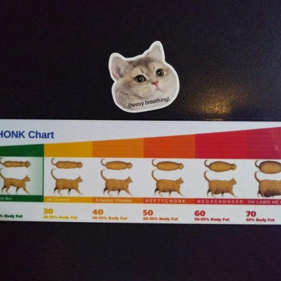 Chonk Chart Vinyl Sticker or Magnet Laptop Stickers MacBook Stickers ...