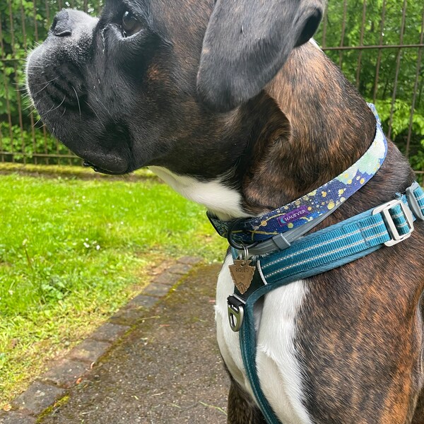 Funny Adjustable Dog Harness, Personalized Guard Harness, Soft Webbing ...