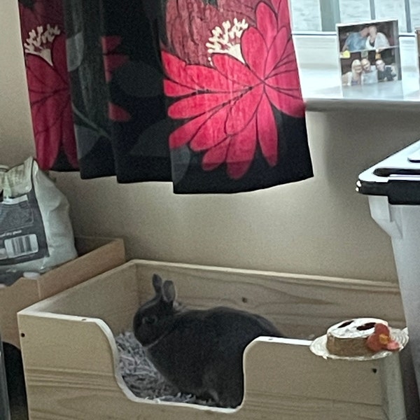 Rabbit Dig Box Indoor Use Only - Etsy UK
