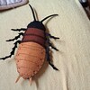 Rubber Ducky Isopod From Felt Realistic Roly Poly Duck Felted Isopod ...