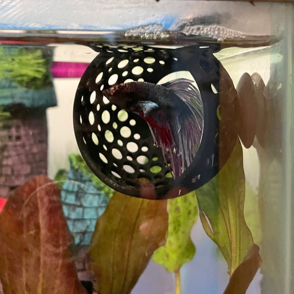 Betta Fish Cave Lounge Hammock, Aquarium Decor to Swim-through, Hide ...