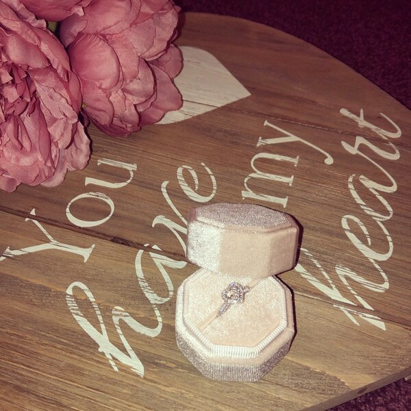 Pale Pink Velvet Ring Box in Octagon Shape, Stunning Delicate Pale Pink ...