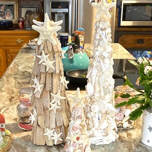 Embellished Spindle Shell With Swarovski Crystals and Pearl Accents ...