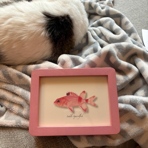 Frame for Ipad, Tablet Display Mounting Frame, Wall Tablet Frame ...