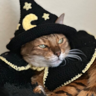 Wizard Pet Costume, Wizard Costume for Cat, Halloween Cat Hat, Wizard ...