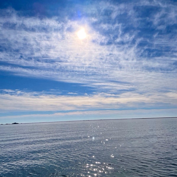 Shell Scoop, Rock Hunt Scoop, Shark Tooth Sifter, Sand Scoop, Rock ...