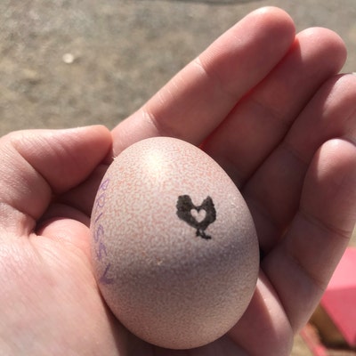 EGG STAMP the Original Chicken Heart Backyard Chickens Chicken Coop ...