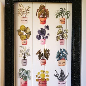 Plants Classroom Alphabet Posters Flashcards Poster PNG PDF Natural ...