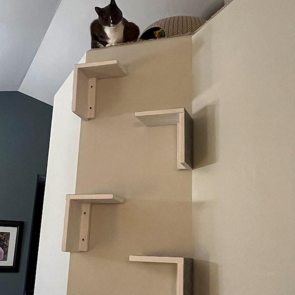 Cat Steps Set 3 Psc. Cat Walk Wall, Cat Steps, Cat Wall Furniture, Cat ...