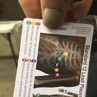 Complete EMS Vertical Badge Card Set 13 Cards for ID Badge Clip Strap ...