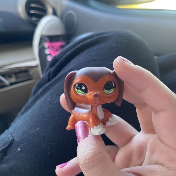 Shorthair 815 Custom LPS Paint Cat Littlest Pet Shop - Etsy