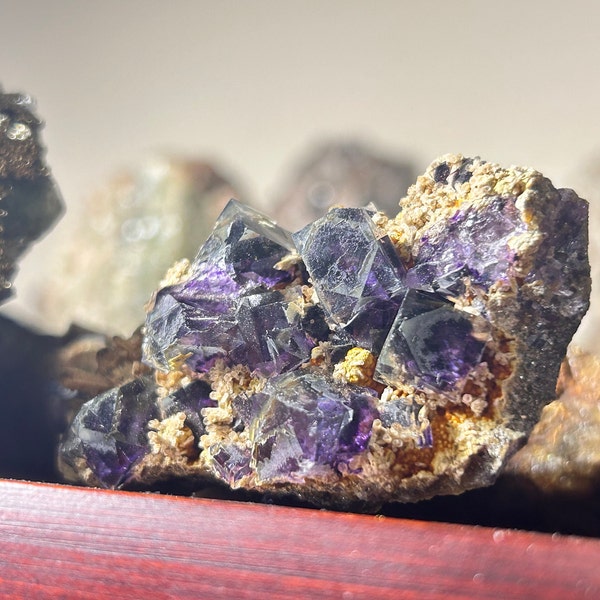 Glassy Stepped Purple Phantom Fluorite Specimen W/ Needle Quartz ...