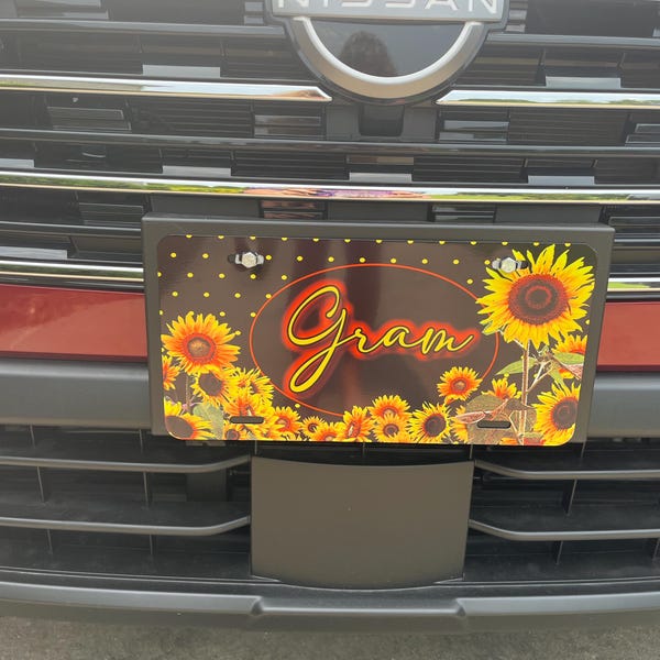 Blood Spatter Scream Queen Halloween Horror Personalized License Plate ...