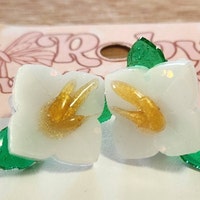 Cnmi Flag Svg, Cnmi Seal Design, Saipan Flag Png, Saipan Seal Digital ...