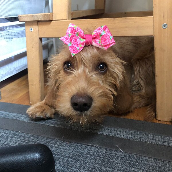 Puppy Dog Hydrangea Flower Hair Bow Clips - Pink, Coral, Mauve Floral ...