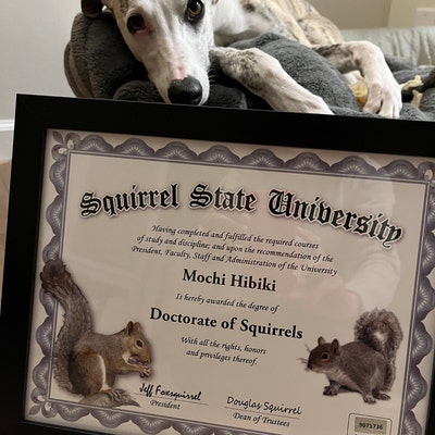 Personalized Home School TRANSCRIPT High School Education - Etsy