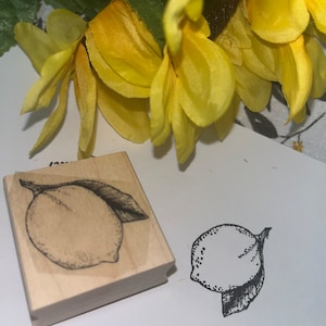 Middle Finger Salute Rubber Stamp. Flipping the Bird Stamp. P46 - Etsy