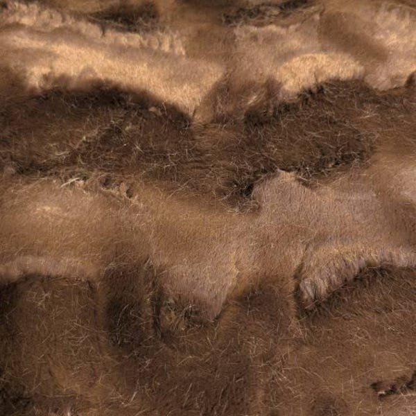 Teddy Bear Digital Cuddle Quartz - Shannon Fabrics Minky 58"/ 60" - Etsy