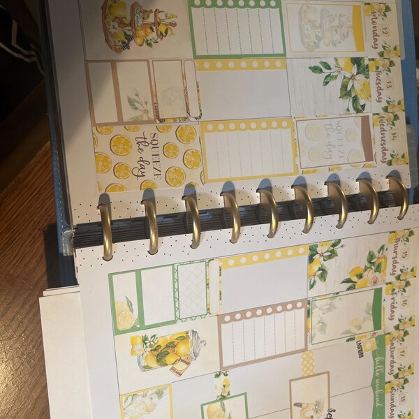 Printable January Monthly Planner Stickers, Happy Planner January ...