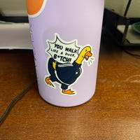 RM Rpwp Sticker, You Walk Like a Duck B*tch, Groin Vinyl Stickers ...