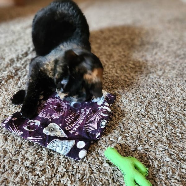 Refillable Catnip Cat Mat - Etsy